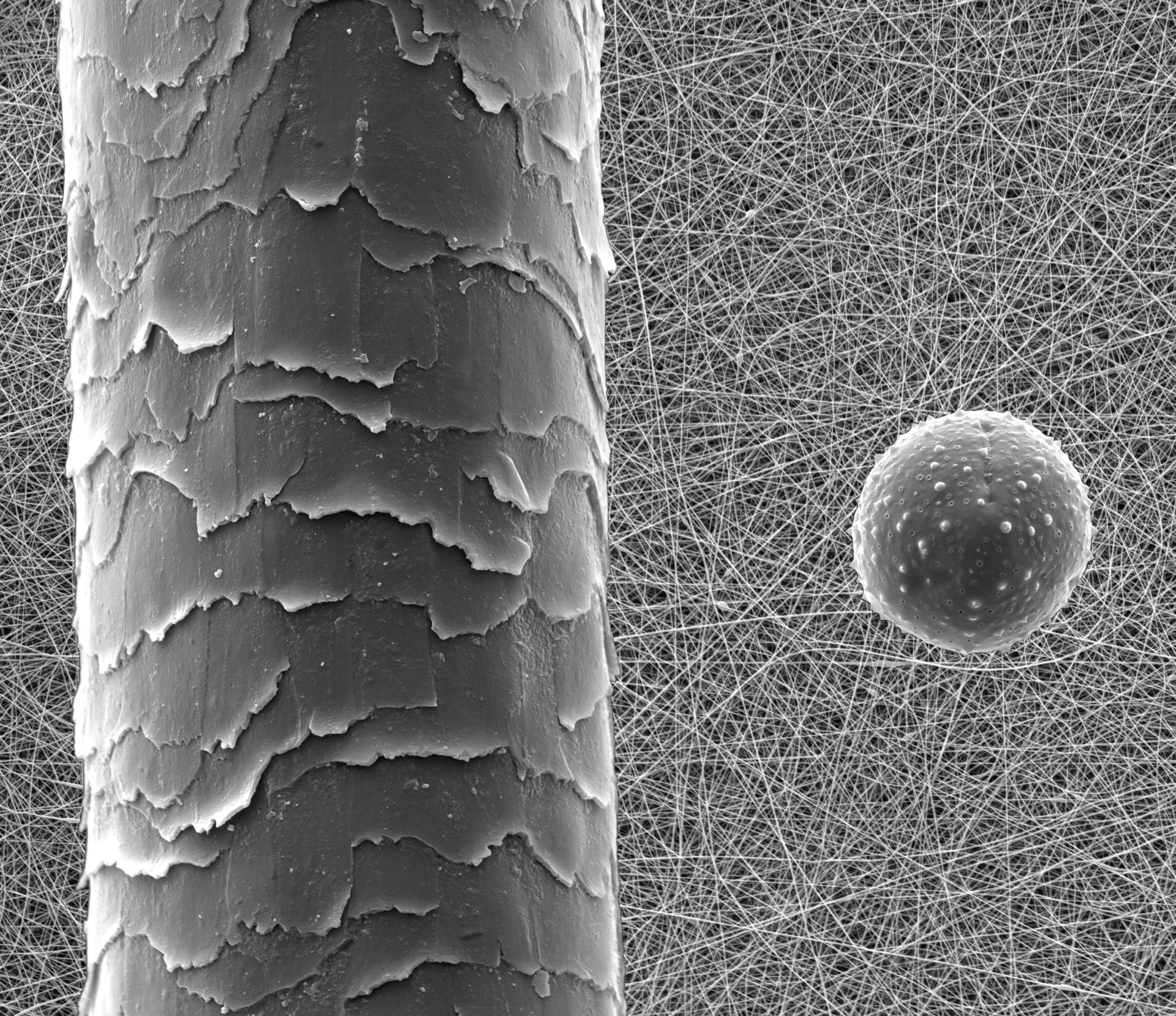 Nanofibers are changing the world for the better | Elmarco